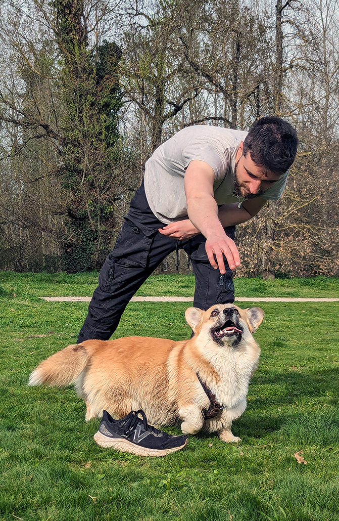 Éducateur canin sur Toulouse 🌟 ARCANIS - ÉDUCATION CANINE